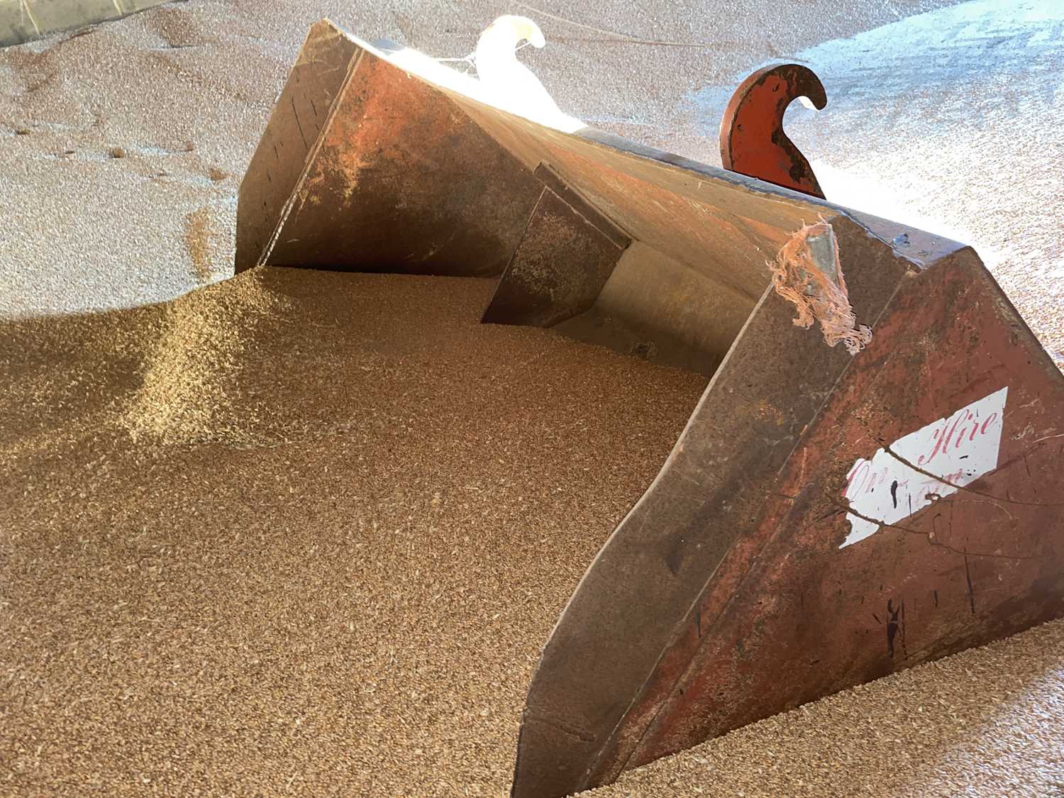 Lot 123 - Grain Bucket with JCB Brackets